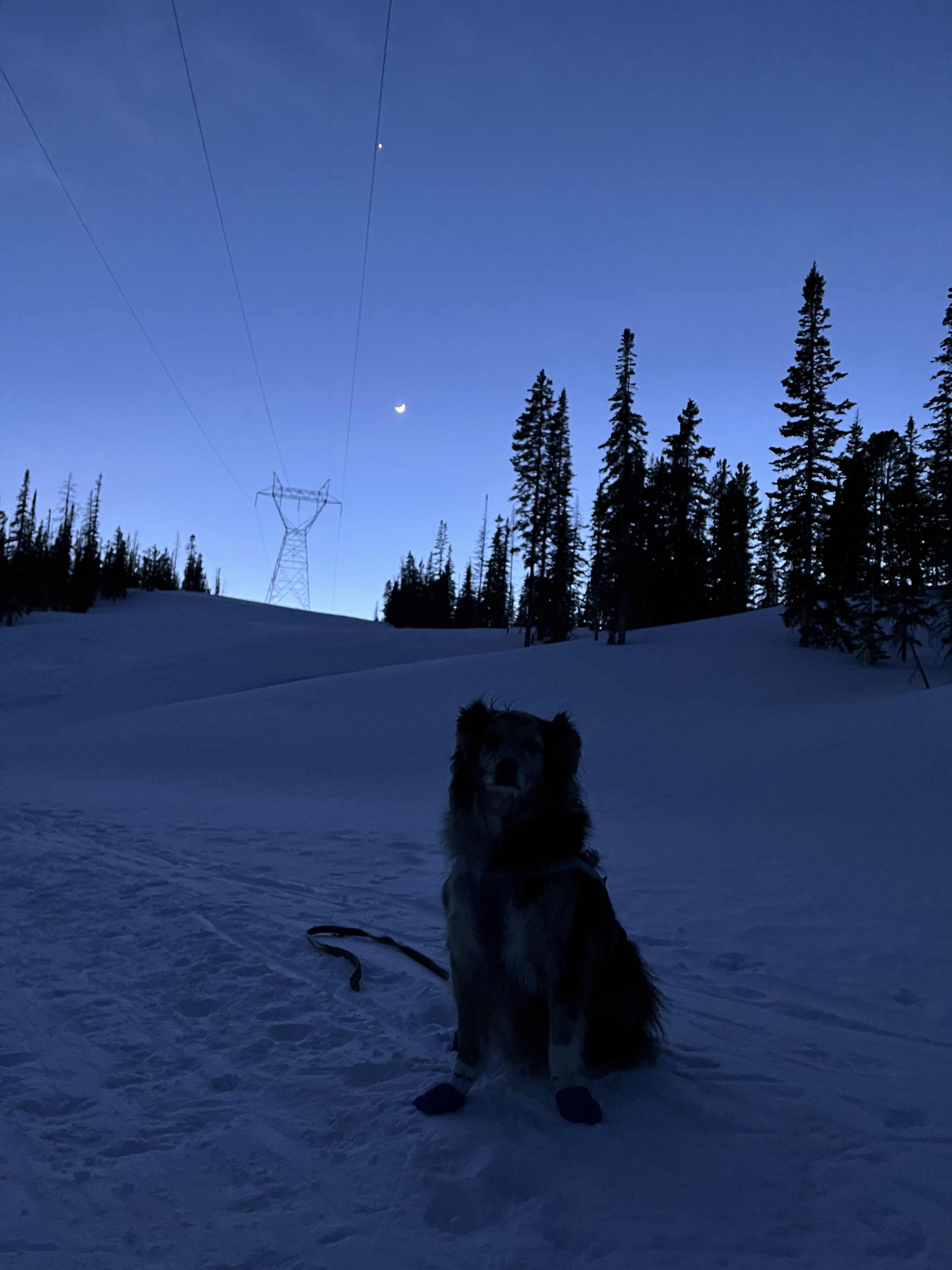 On Being Limitless – A Dog and Her Girl
